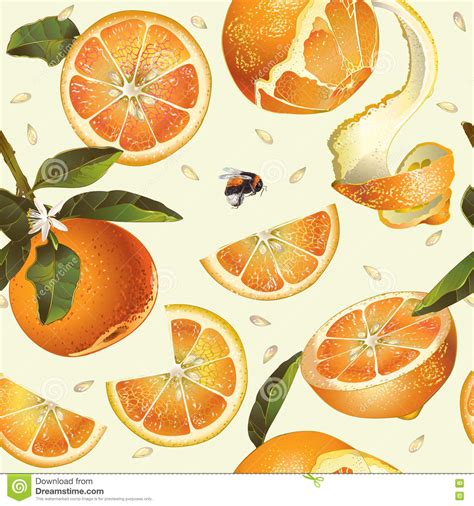 Vector Orange Seamless Pattern Stock Vector Illustration Of Nature Cosmetic 74277618