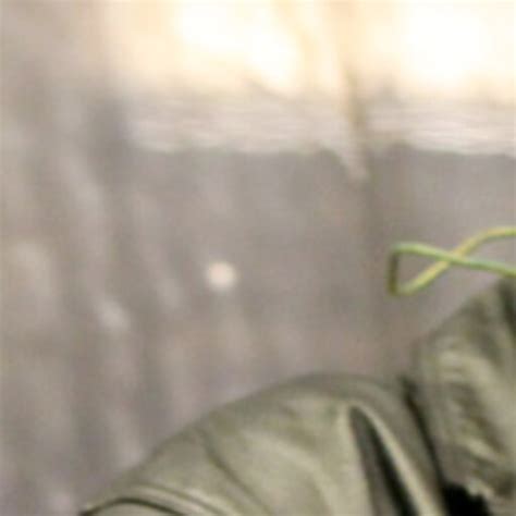 Nicolas Bustos Cortinez University Of Desarrollo Santiago Udd Carrera De Nutrición Y