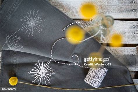 Billybutton Daisy Photos And Premium High Res Pictures Getty Images