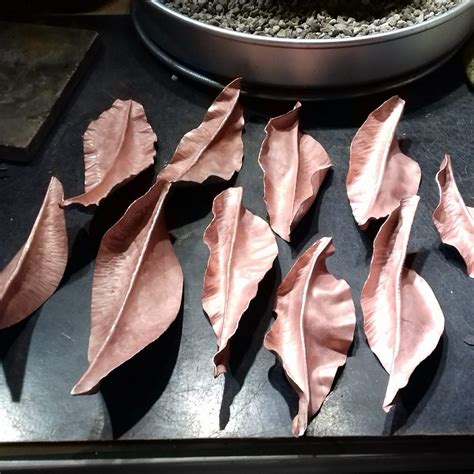 Copper Edible Leaf At Shawn Rooks Blog