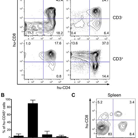 Human T ­cell Development The T ­ Cell Development Mostly Takes Place