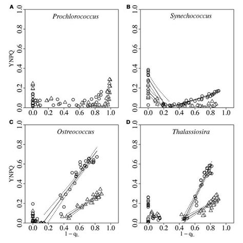 Key Properties Of Prochlorococcus Synechococcus Ostreococcus And Download Table