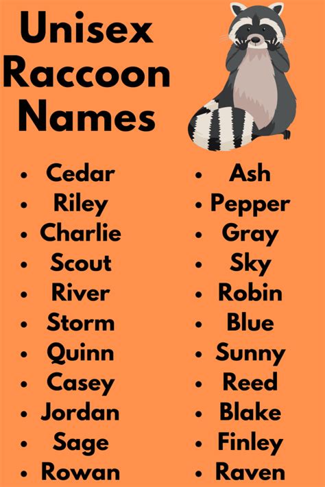 270 Cute And Funny Raccoon Names For Your Chill Buddy