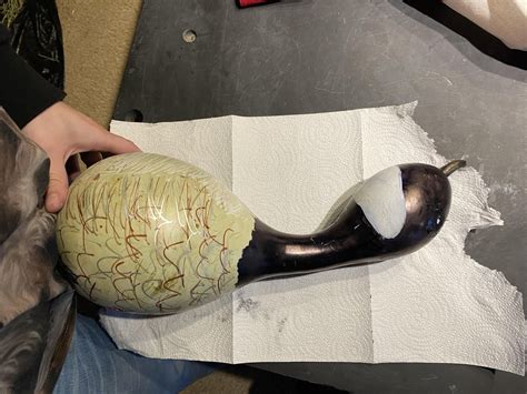 Not A Goose Horrible Photo But The Only One We Got Hawkfalcon