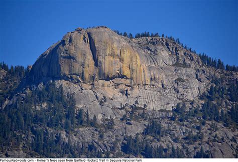 Sequoia National Park Famous Redwoods