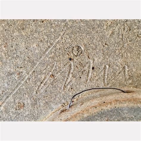 Shaner The Marks Project