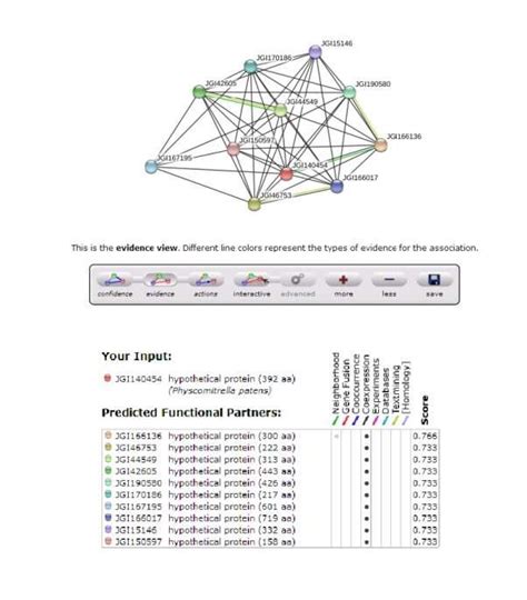 Understanding An Unknown Protein Sequence