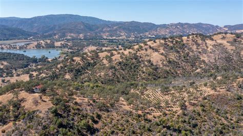 Simoni Italian Olive Grove California Outdoor Properties