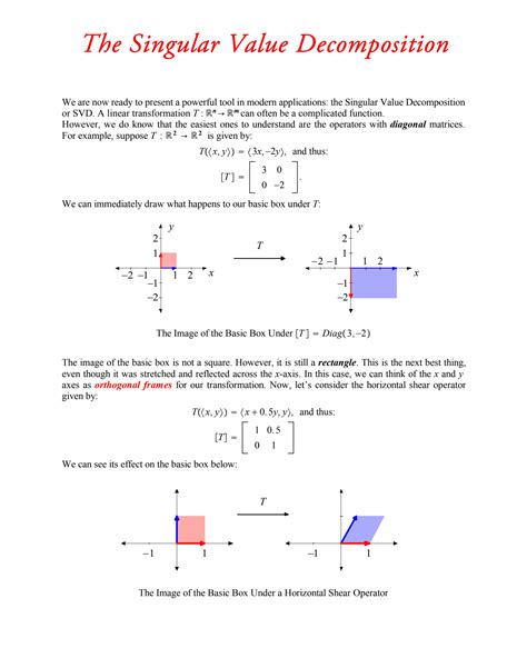 Solution The Singular Value Decomposition And Exercises Studypool