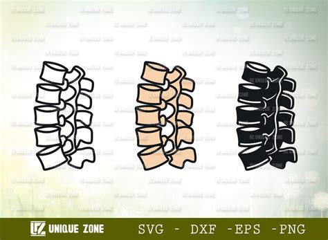 Anatomy Spine Svg Cut File Anatomy Svg Human Spine Svg Spine Svg