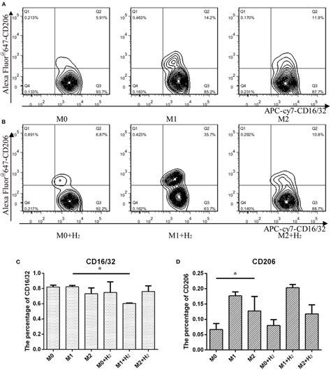 Flow Cytometry Analysis Of Macrophages And Their Markers Macrophages