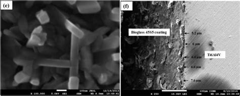 Fesem Micrographs Of 45s5 Bioglass Coatings Thermally Treated At A Download Scientific