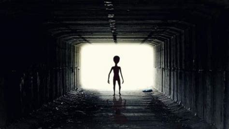 Thatwas2018 Here Are 6 Weird Technology Stories Of 2018