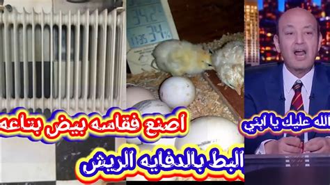 اصنع فقاسه بيض بتاعه بط وفراخ ورومي وسمان بالدفايه Muhammad Dish Youtube