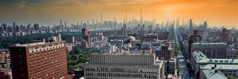 Faculty Advisory Board Institute Of Global Politics Sipa