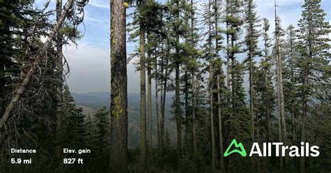 Spout Springs Loop Oregon 45 Reviews Map Alltrails