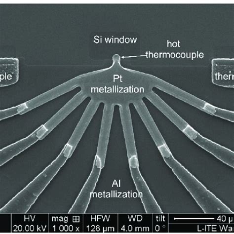 Sem Image Of The Thermometric Structure Before Fib Processing Showing