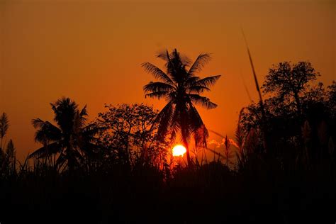 Sunset Landscape Trees Free Photo On Pixabay Pixabay