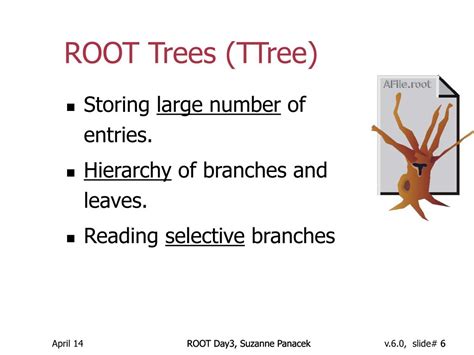 Ppt Root Powerpoint Presentation Free Download Id751705