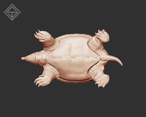 Soft Shelled Turtle Free 3d Model 3d Printable Cgtrader
