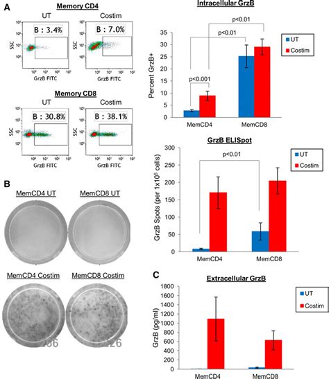 Comparison Of Intracellular And Extracellular Grzb Protein Levels By