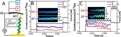 1 A Schematic Of The Modified Conducting Atomic Force Microscopy
