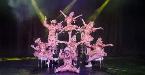 Coops Day Cooperalfa