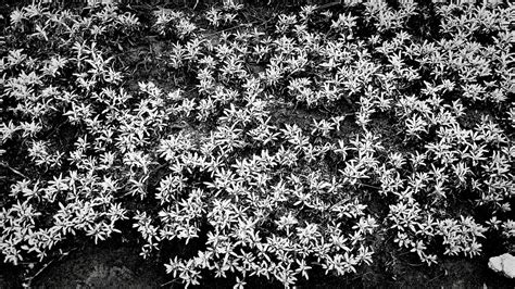 A Universe Henry Beckmeyer Flickr