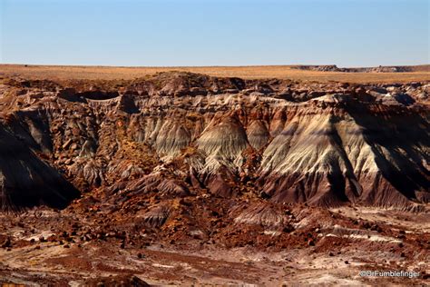 Petrified Forest National Park Arizona 2 The Triassic Forest