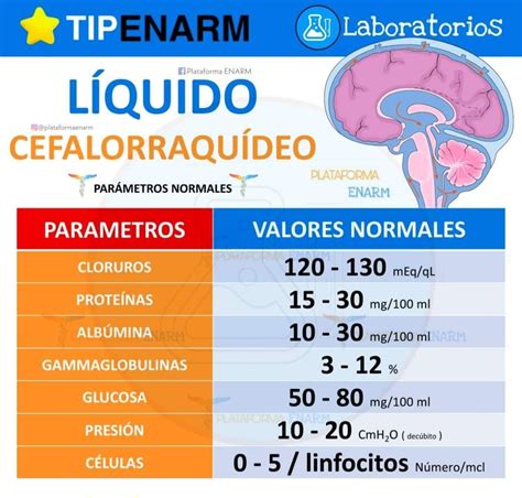 Valores Normales De Leucocitos