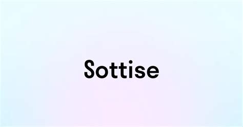 Sottise — перевод транскрипция произношение и примеры