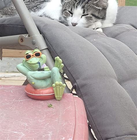 Craig Tyndall Facebook