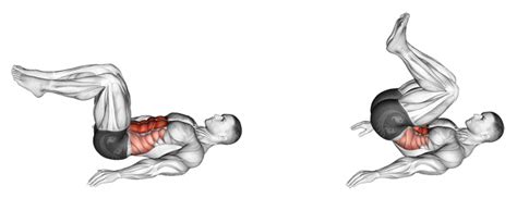 Target Your Lower Abs With Reverse Crunches Member Login Area The