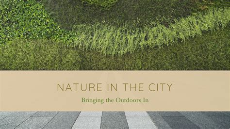 Biophilic Design Bringing Nature Into Urban Spaces