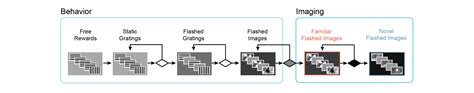 GETTING STARTED Allen SDK Dev Documentation