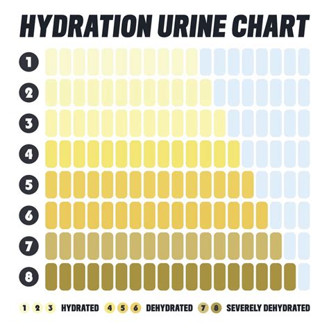 Running Hydration How To Hydrate For Better Runs