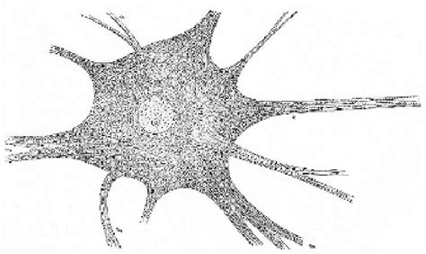 Figure 1 From The Cytoskeleton Of Nerve Cells In Historic Perspective
