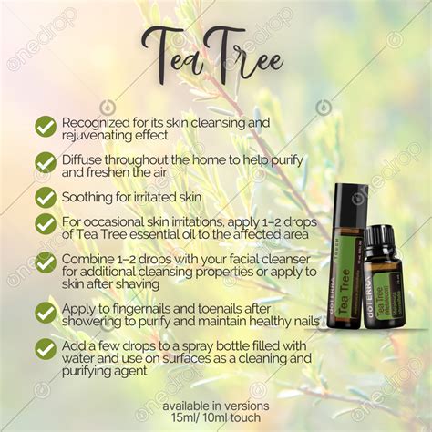 Tea Tree By Roberta Primay
