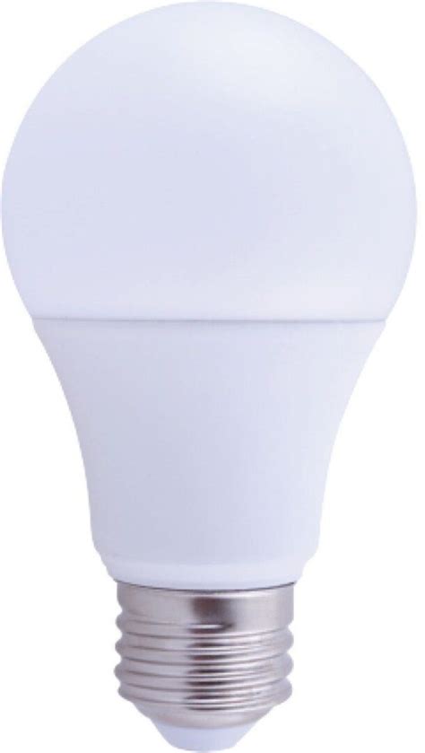 A19 Bulb Bottom Line Utility Solutions Inc