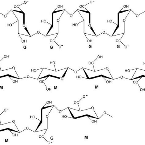 Structure Of Alginates With β 1→4 Linked D Mannuronic Acid M And