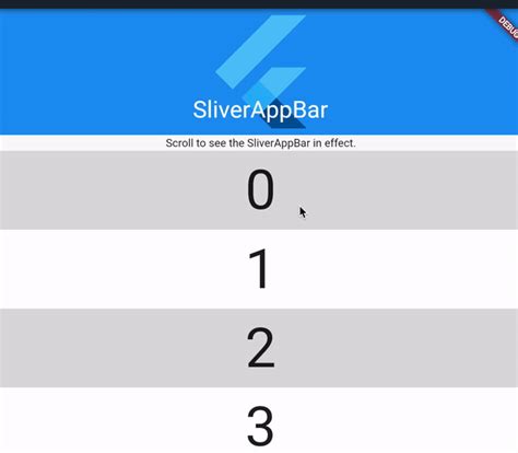Dart SilverAppBar
