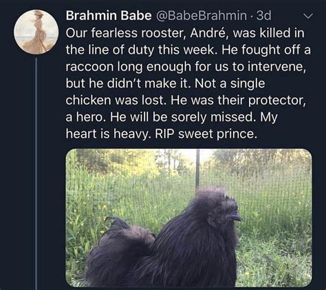 Rip André R Nextfuckinglevel