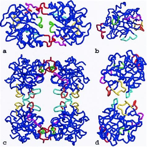 Overall Structure Of The Tryptase Tetramer The Four Monomers A B C