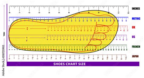 Vetor De Set Of Shoes Chart Size Or Socks Chart Size Or Measurement Foot Chart Concepteps 10