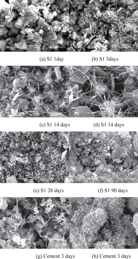 Sem Analysis Of Paste Hydration Products A F Sem Of S1 Paste Curing