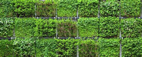 Green Infrastructure Archives Tandem Global