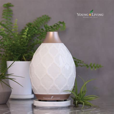 Desert Mist Diffuser W 5ml Lavender And 5ml Lemon Essential Oil Furniture And Home Living