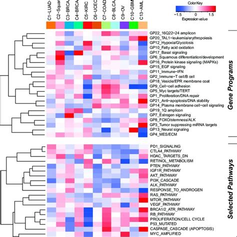 Subtype Specific Patterns Of Gene Program And Selected Pathway Download Scientific Diagram