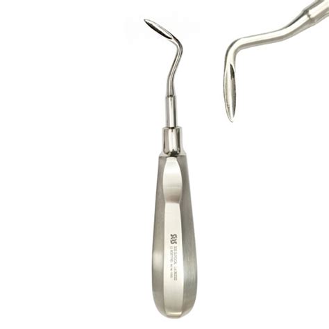 Tooth Root Elevator Right Side Sos Surgical Germany Ek