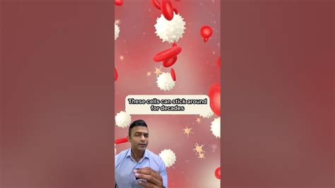 Have You Heard Of Microchimerism Youtube